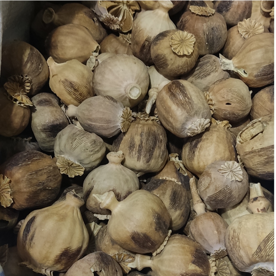 پودر زنجبیل (عمده و تازه) – توتپُس